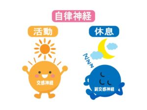 自律神経に直撃！なぜ私たちは【季節の変わり目】に体調を崩すのか？ | 還暦後の薬剤師＆チェリストが奏でる小夜曲